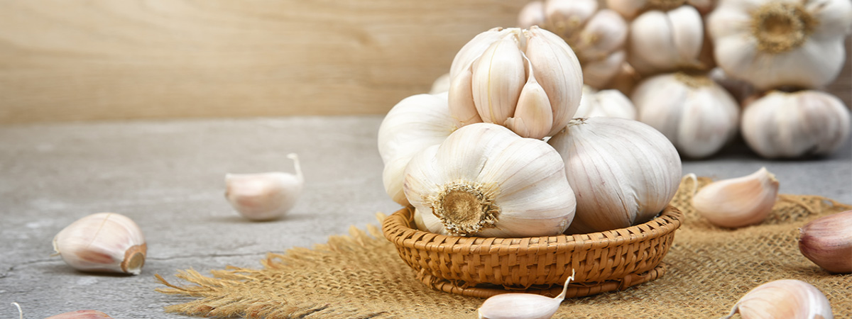 Diseases in which you should not eat too much garlic. - nk-time.com